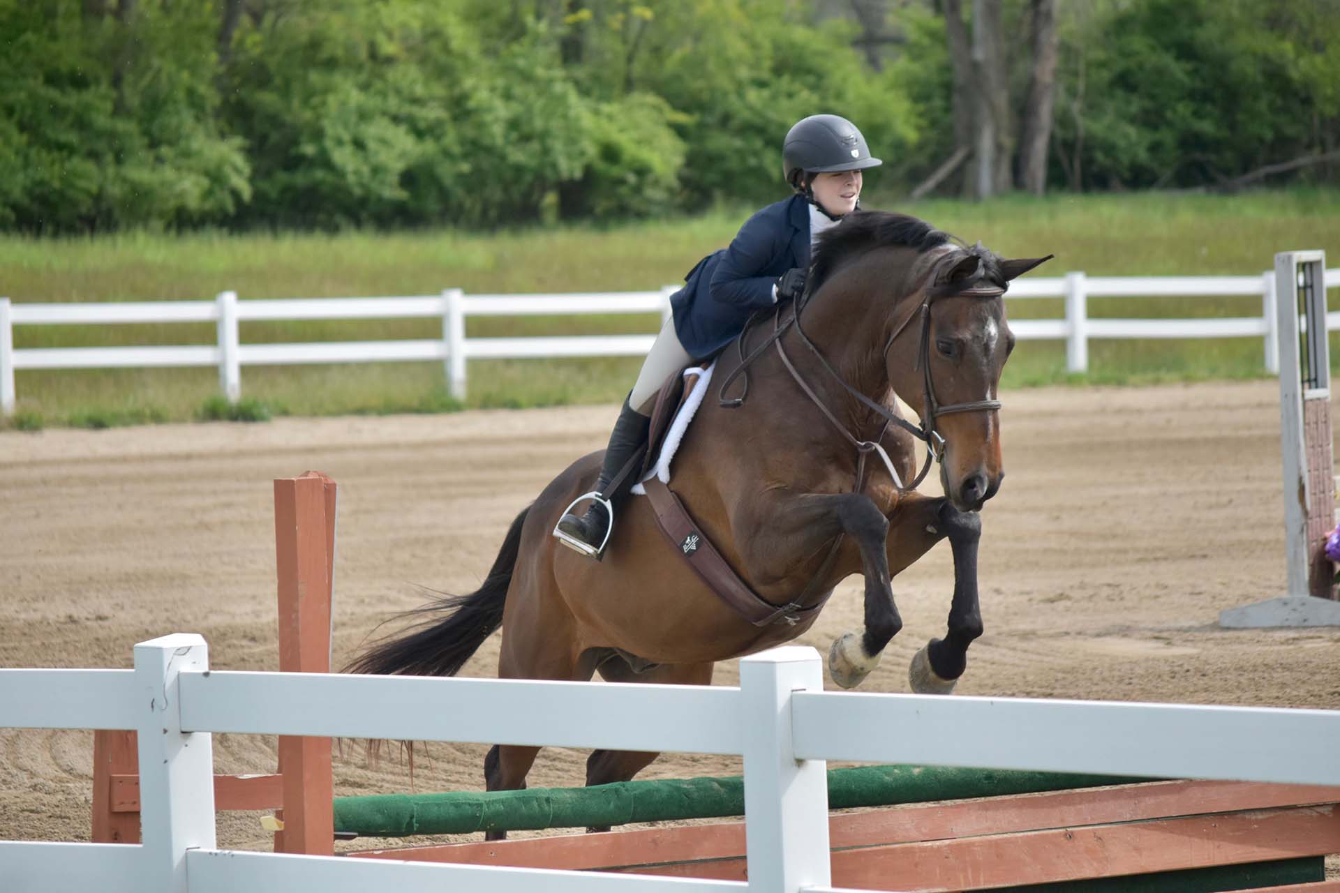 RIDING LESSONS – Kolowa Equestrian, Atlanta Indiana